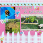 190 Spring Scrapbook Titles You Haven't Used Before