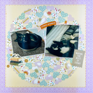 Animal Scrapbook - Adorable Ways To Pay Homage To Your Pets