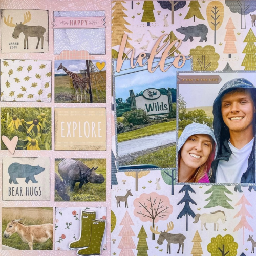 Animal Scrapbook - Adorable Ways To Pay Homage To Your Pets